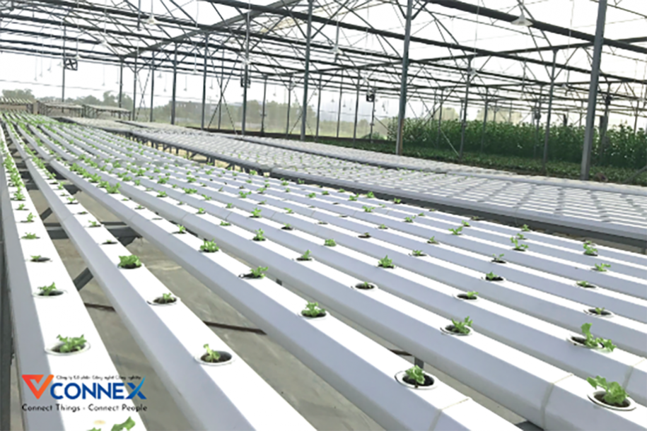 Giải pháp nông nghiệp - Vconnex